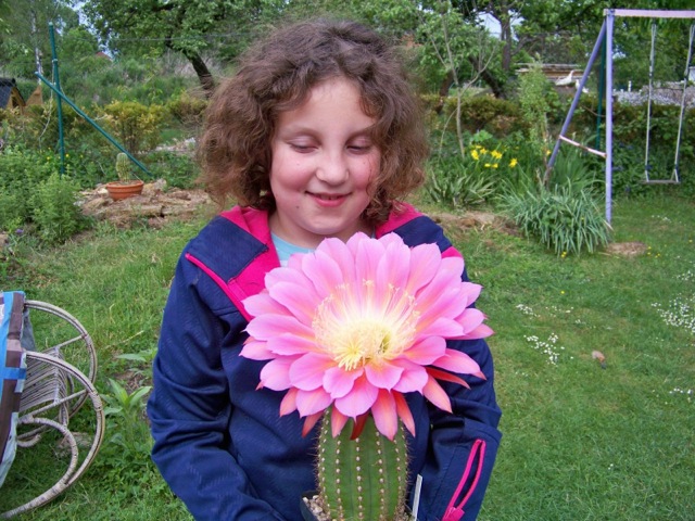 Post a random CACTI picture thread - Cacti & Succulents - The Corroboree