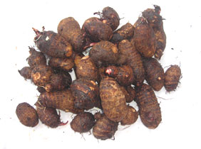 African root veg wanted - Seed & Plant Swaps - The Corroboree